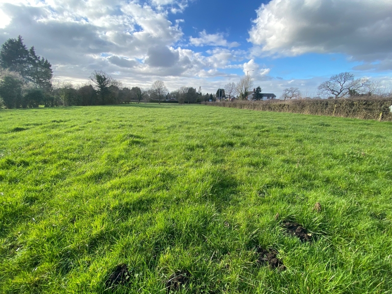 For Sale – SHP VALUERS